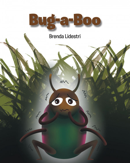 Author Brenda Lidestri's New Book 'Bug-a-Boo' is a Playful Story About ...