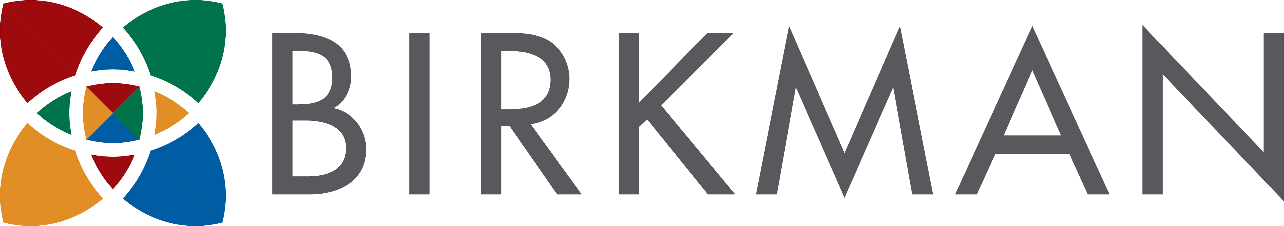Birkmann Logo