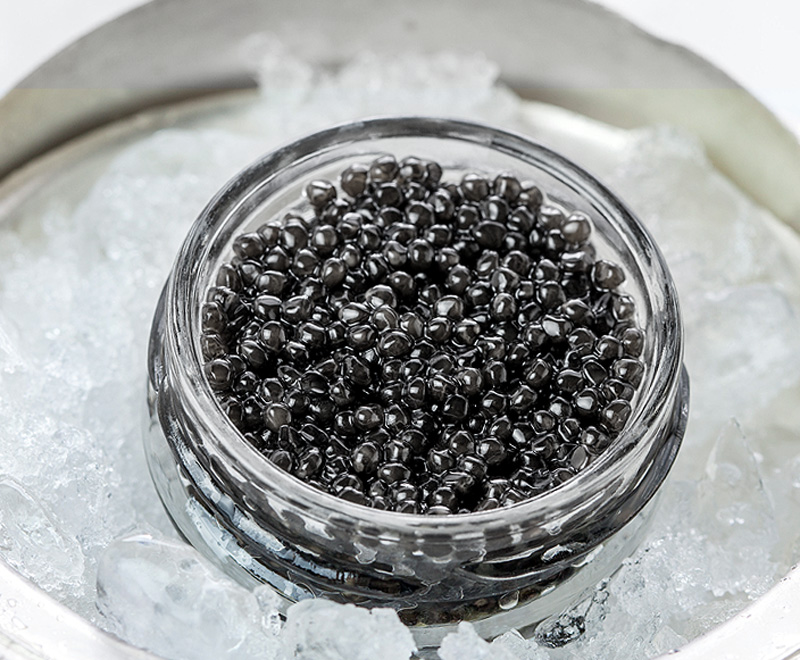 Beluga Caviar is Available Again! | Newswire